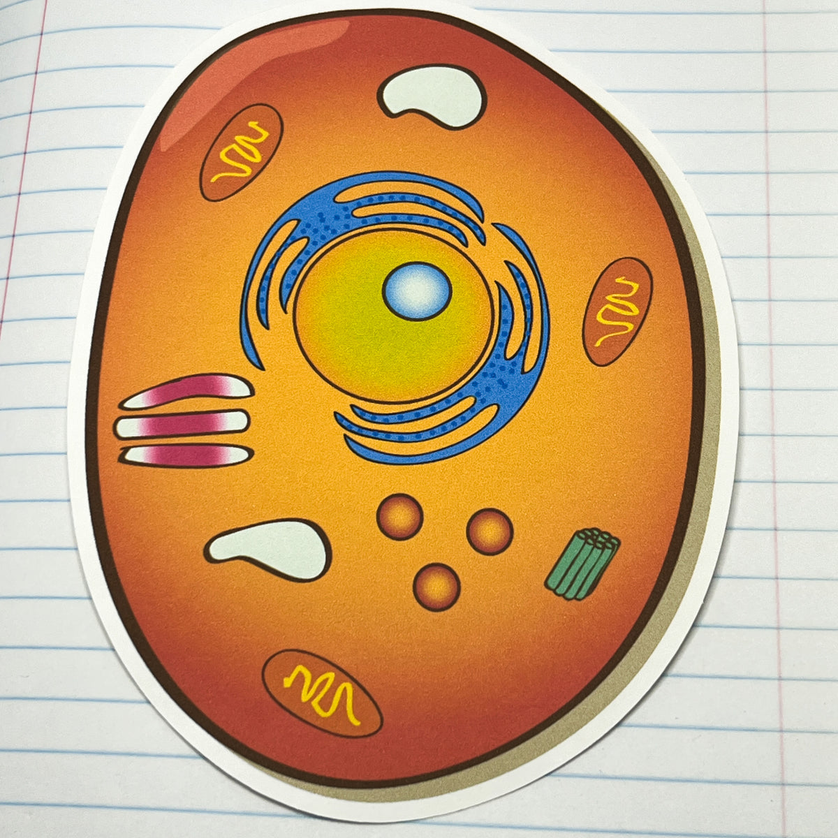 Animal Cell Stickers – Pretty Homeschool