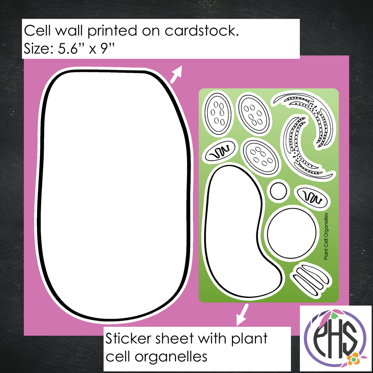 Build Your Plant Cell - Homeschool Biology Activity – Pretty Homeschool
