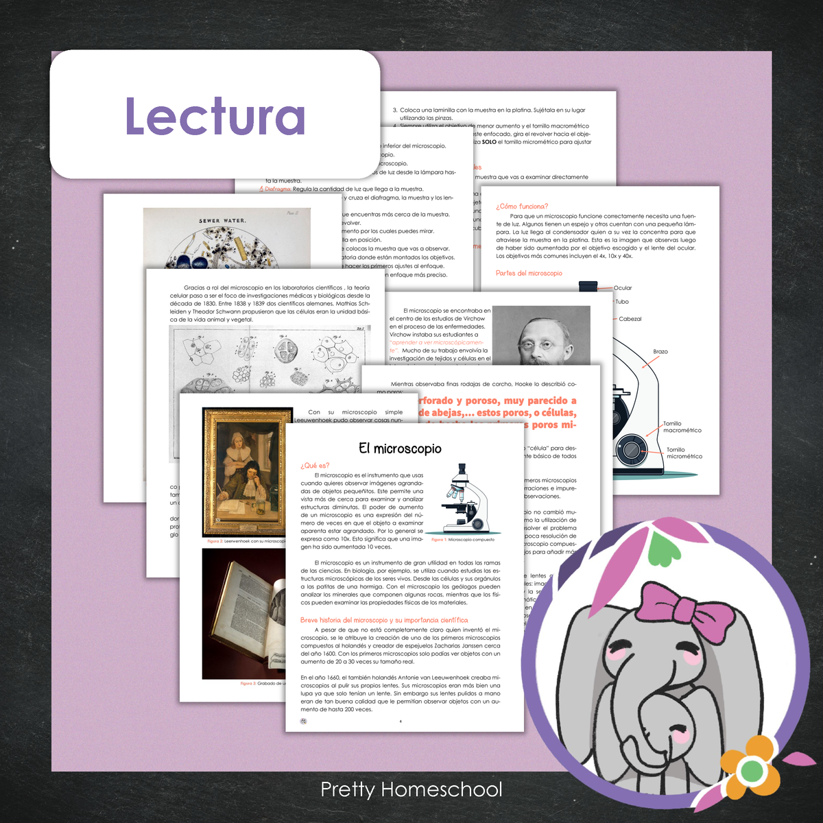 Cuaderno de trabajo: El microscopio - Unidad de estudio: El microscopi ...