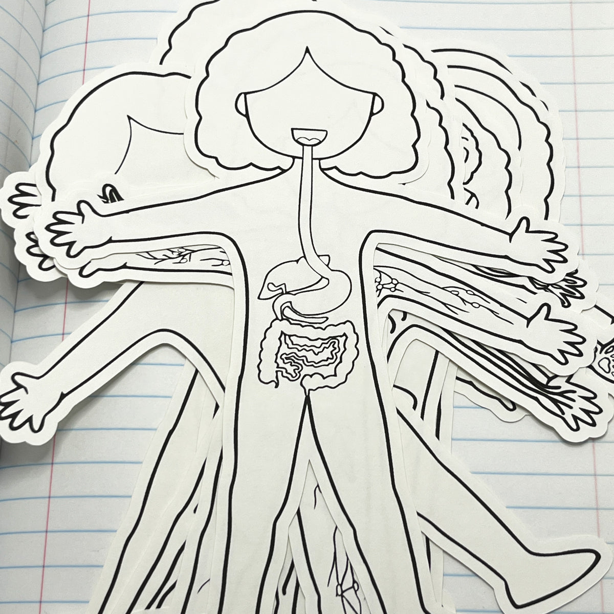 Stickers anatomía del cuerpo humano - Blanco y negro – Pretty Homeschool